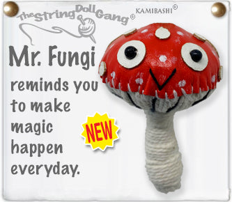 Mr. Fungi – Kamibashi
